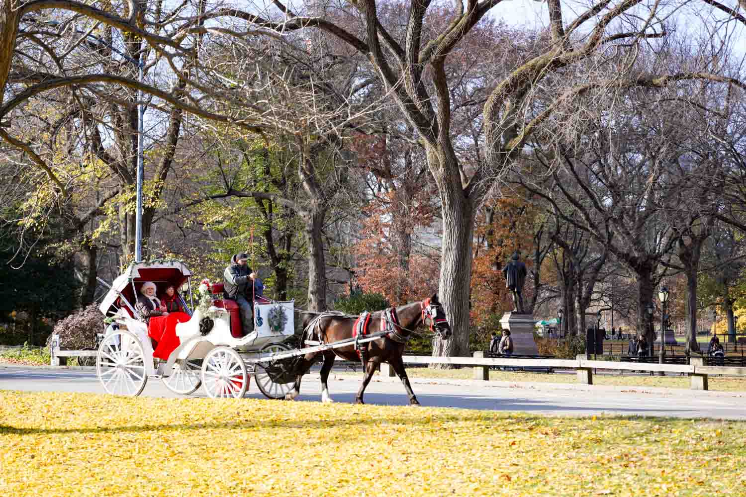 Wollman Rink Central Park: How to Book Tickets - Trip With Kim