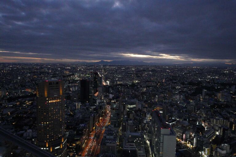 Shibuya Sky Observatory: How to Book & Best Time to Visit
